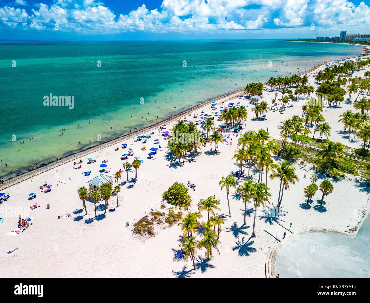Beautiful Crandon Park beach in Key Biscayne in Miami, USA Stock Photo - Alamy