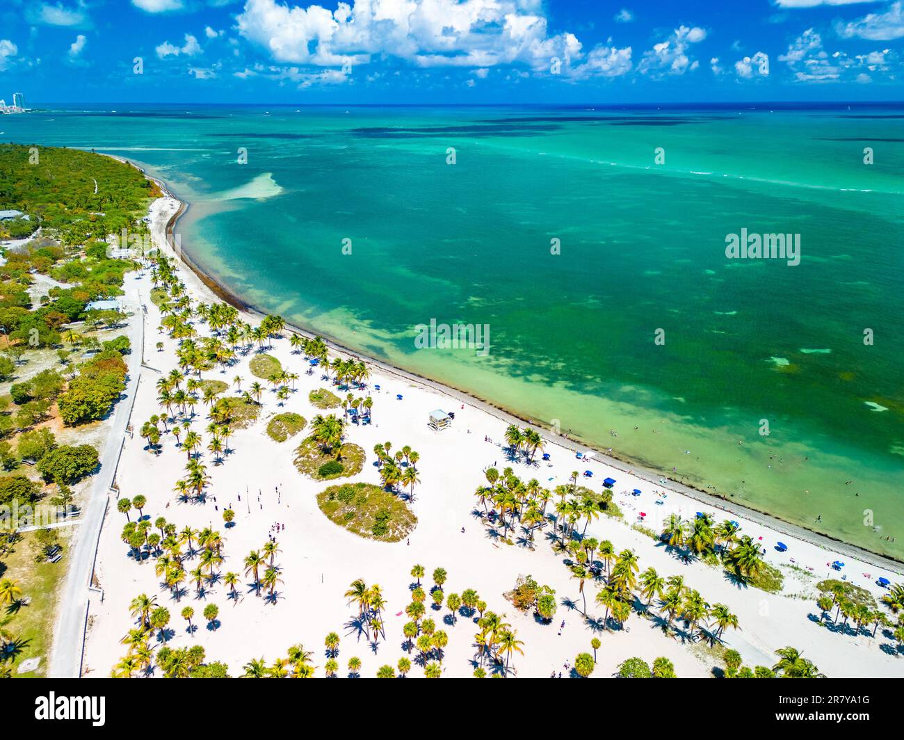 Beautiful Crandon Park beach in Key Biscayne in Miami, USA Stock Photo ...