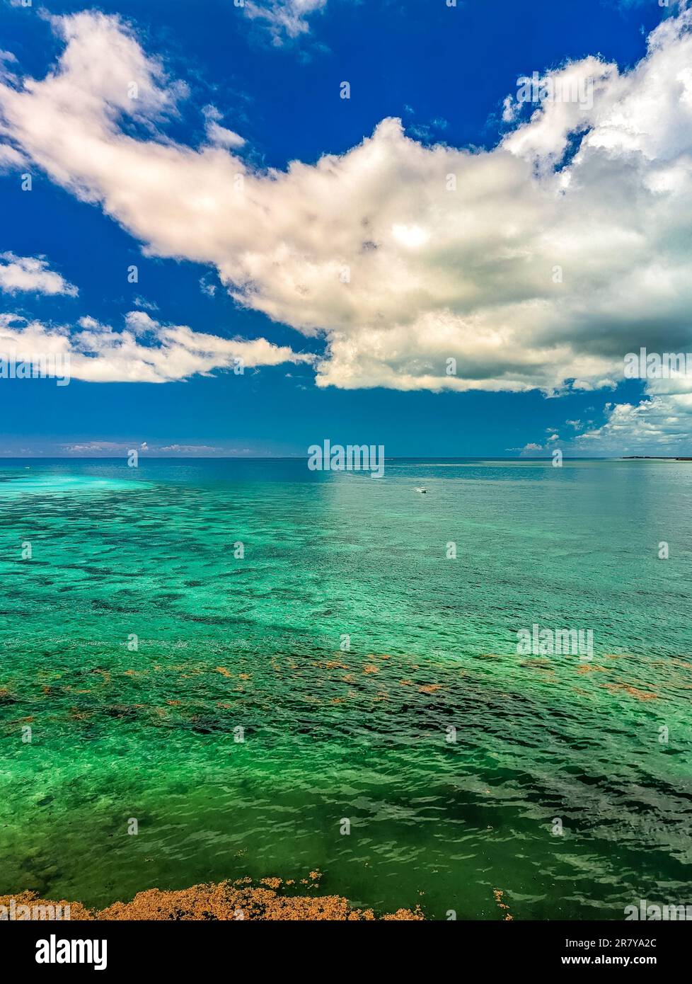 Bahia Honda State Park - Calusa Beach, Florida Keys - tropical coast ...