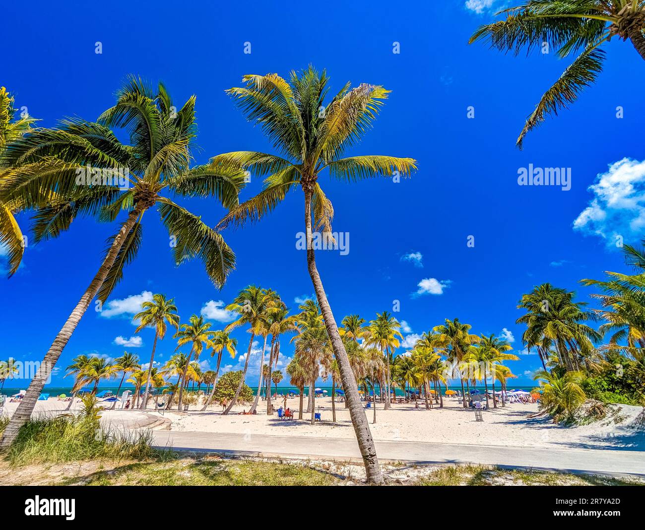 Beautiful Crandon Park beach in Key Biscayne in Miami, USA Stock Photo ...