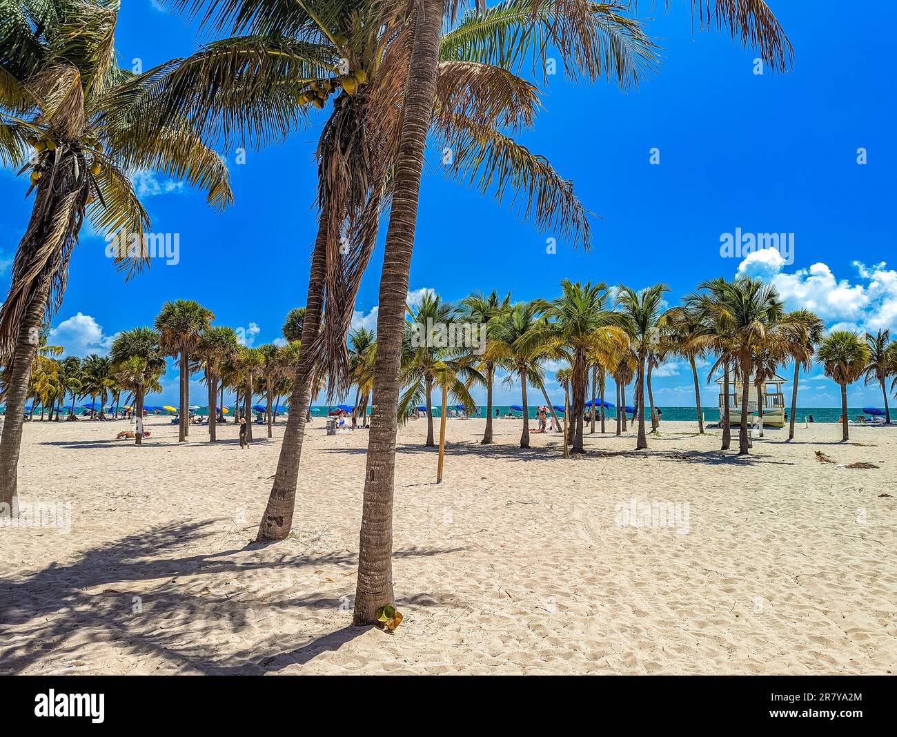 Beautiful Crandon Park beach in Key Biscayne in Miami, USA Stock Photo ...