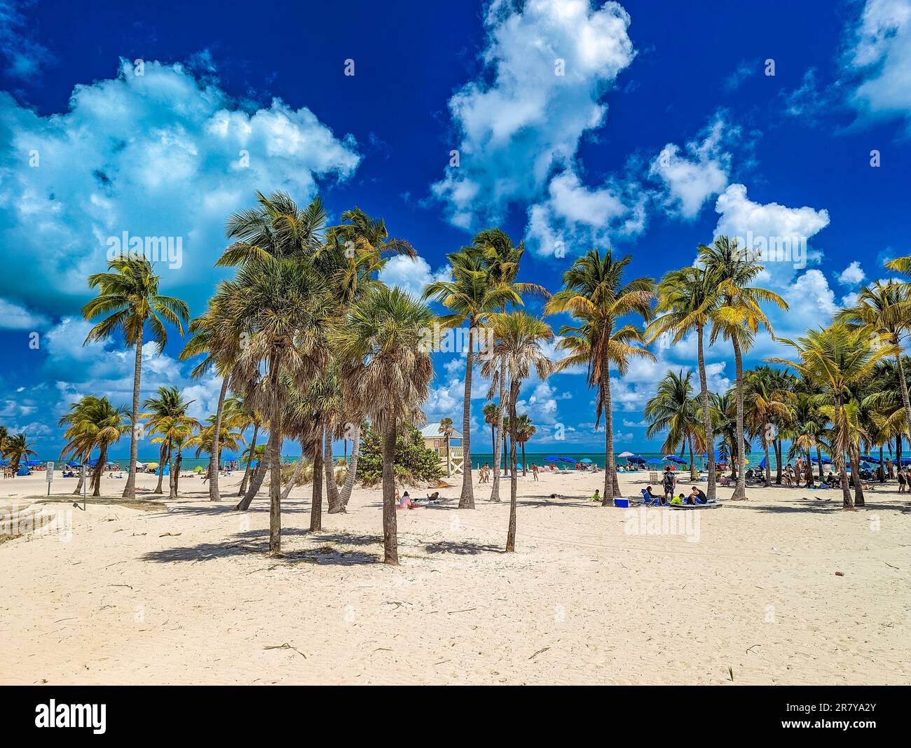 Beautiful Crandon Park beach in Key Biscayne in Miami, USA Stock Photo ...