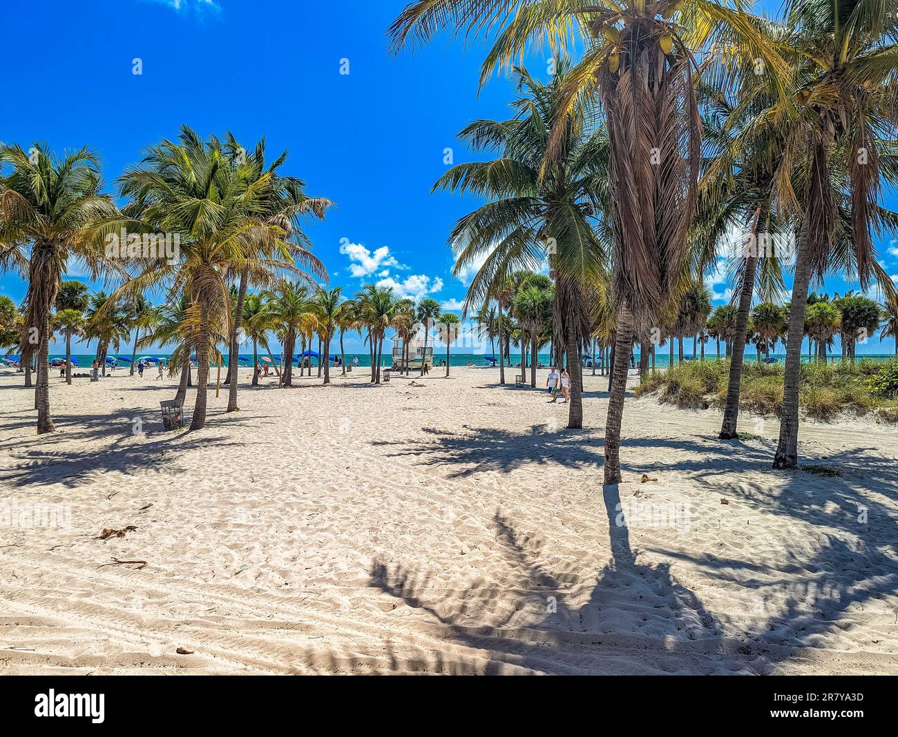 Crandon park swimming hi-res stock photography and images - Alamy