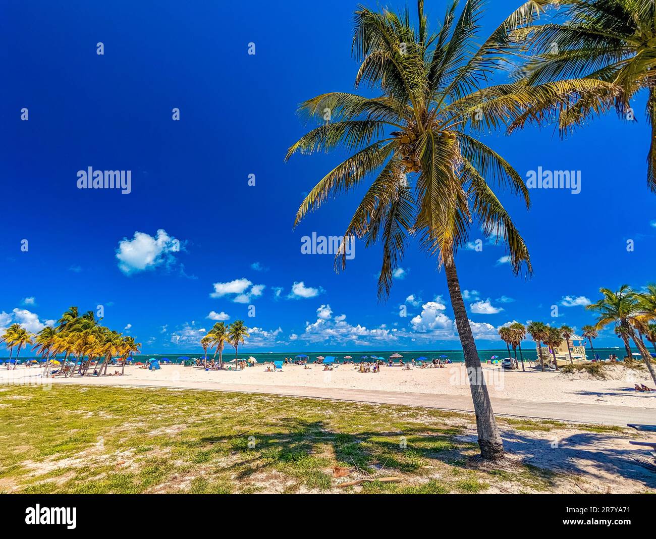 Beautiful Crandon Park beach in Key Biscayne in Miami, USA Stock Photo ...