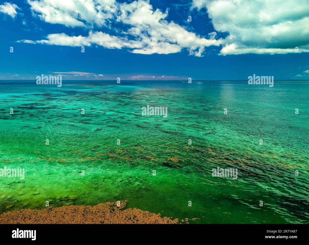 Bahia Honda State Park - Calusa Beach, Florida Keys - tropical coast ...
