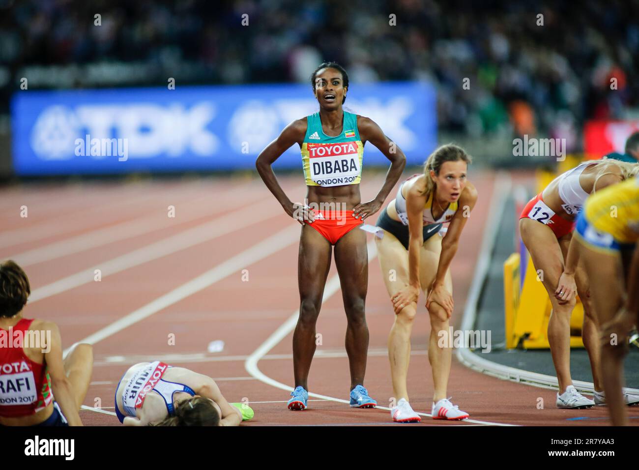 Genzebe Dibaba participating in the 1500m final at the World Athletics ...