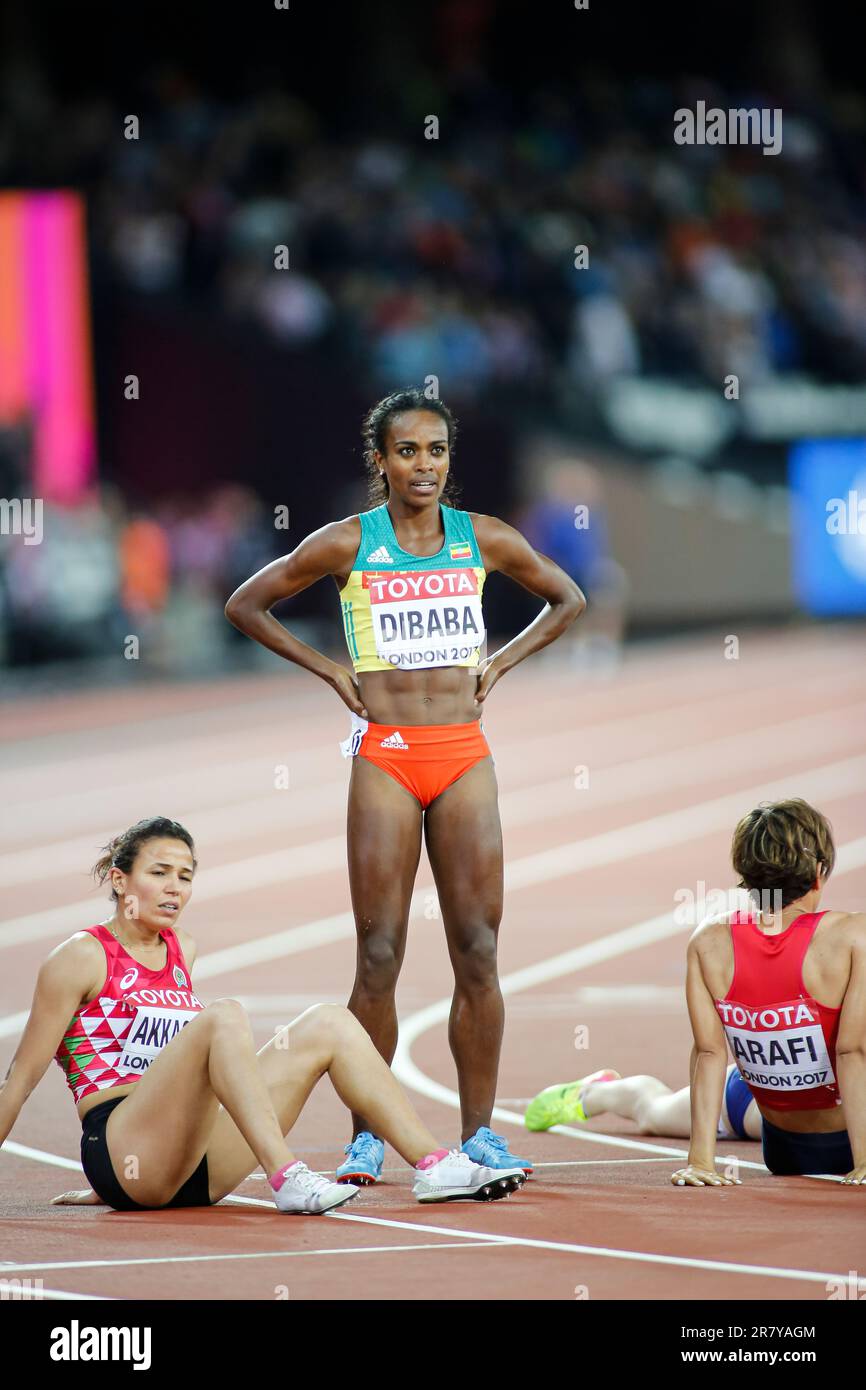 Genzebe Dibaba participating in the 1500m final at the World Athletics ...