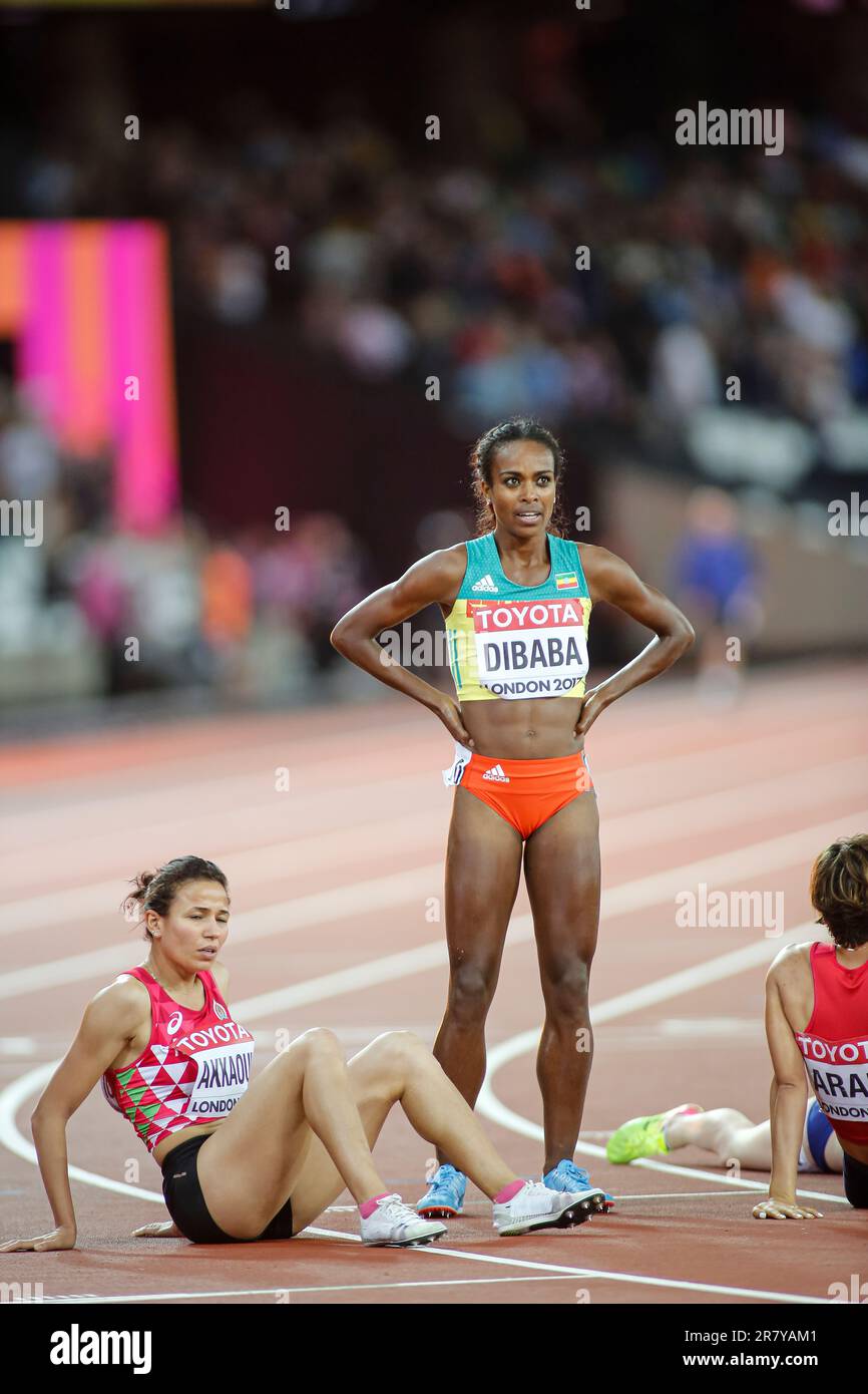 Genzebe Dibaba participating in the 1500m final at the World Athletics ...