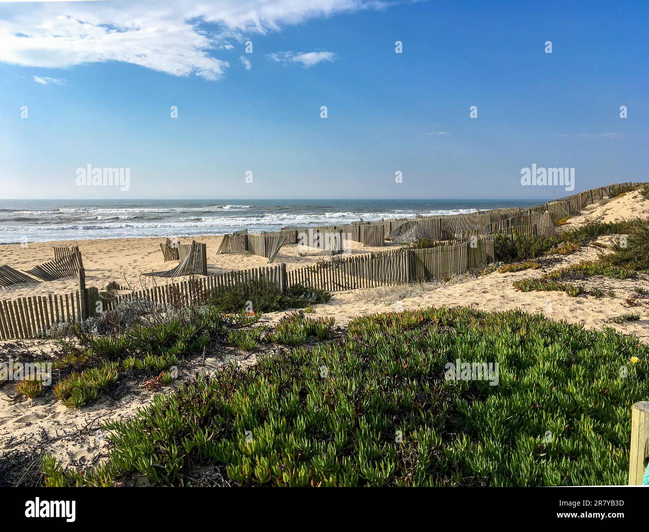 Coastal management and sand dune stabilization at the Granja beach in ...