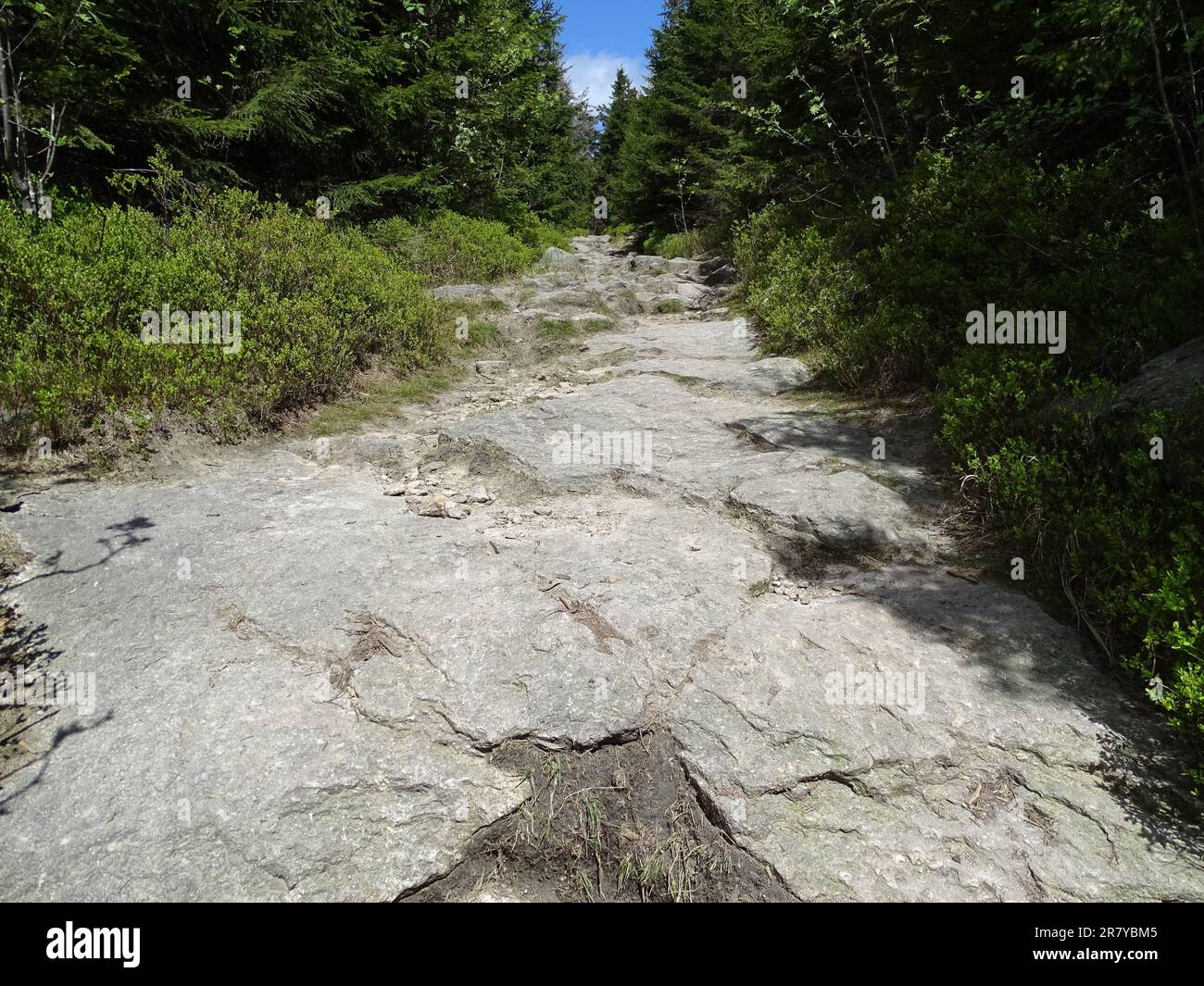 A rough hiking trail over uneven stone slabs through the forest ...