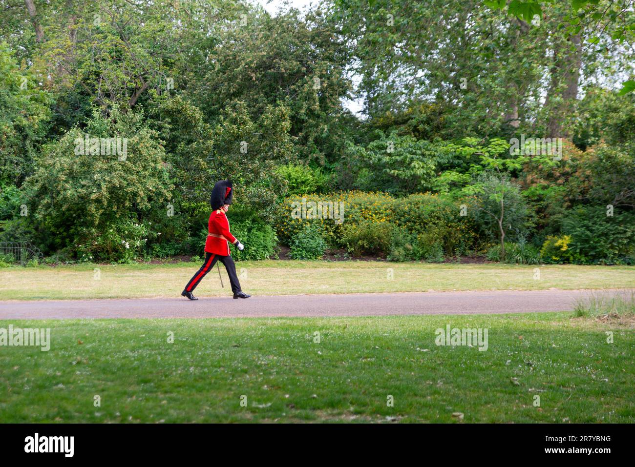 Soldier arriving at Trooping the Colour in The Mall, London, UK ...