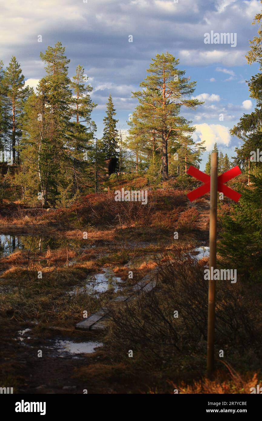 Planks leading through swamp a red cross as trail marking in northern ...