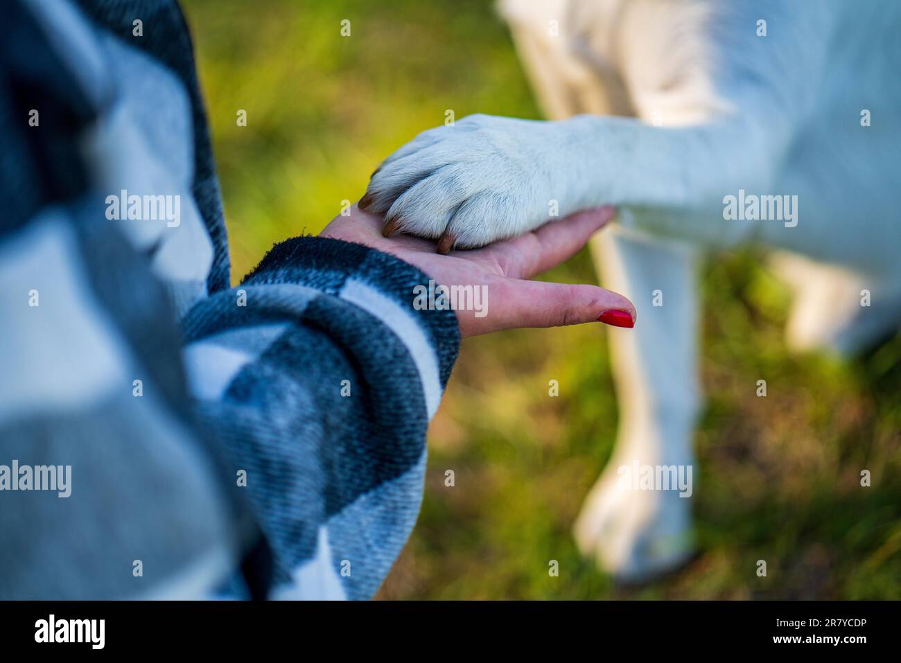 Woman hand holds white hi-res stock photography and images - Alamy