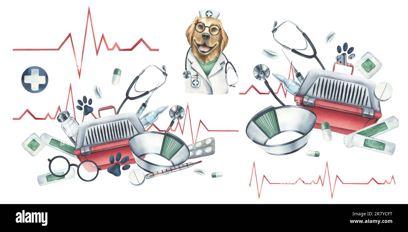 Veterinary set with doctor dog, pet carrier, medicines. Watercolor ...