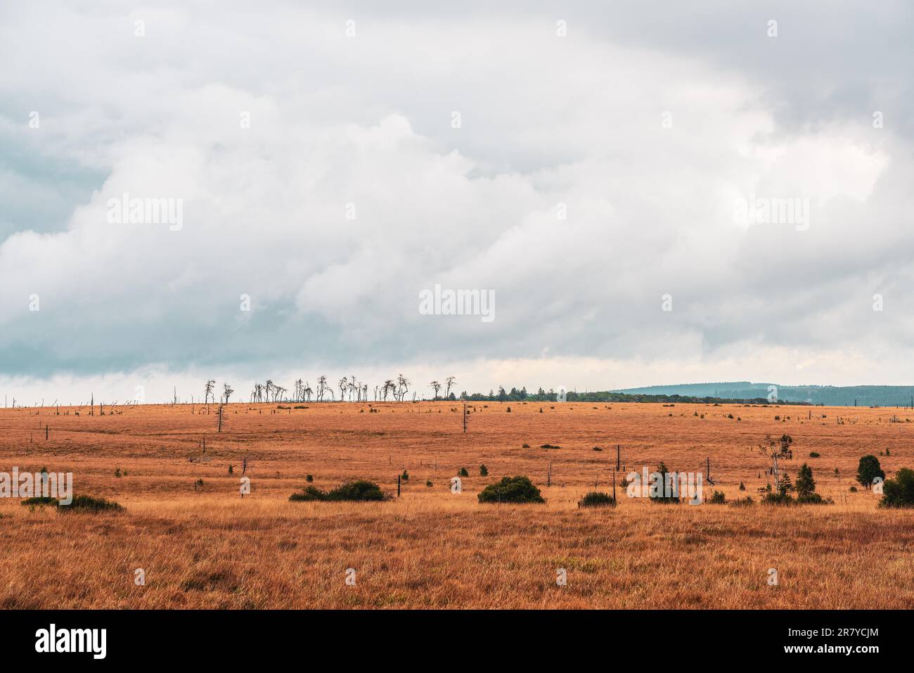 Landscape in the High Fens Nature Park in the Eifel, Belgium Stock ...