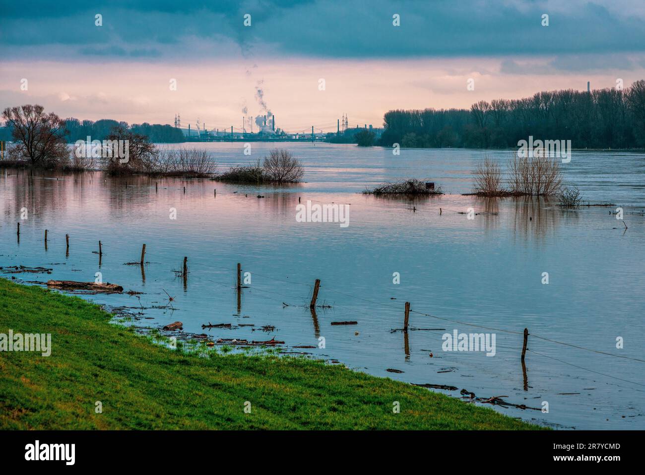 Flood on rhine river cologne hi-res stock photography and images - Alamy