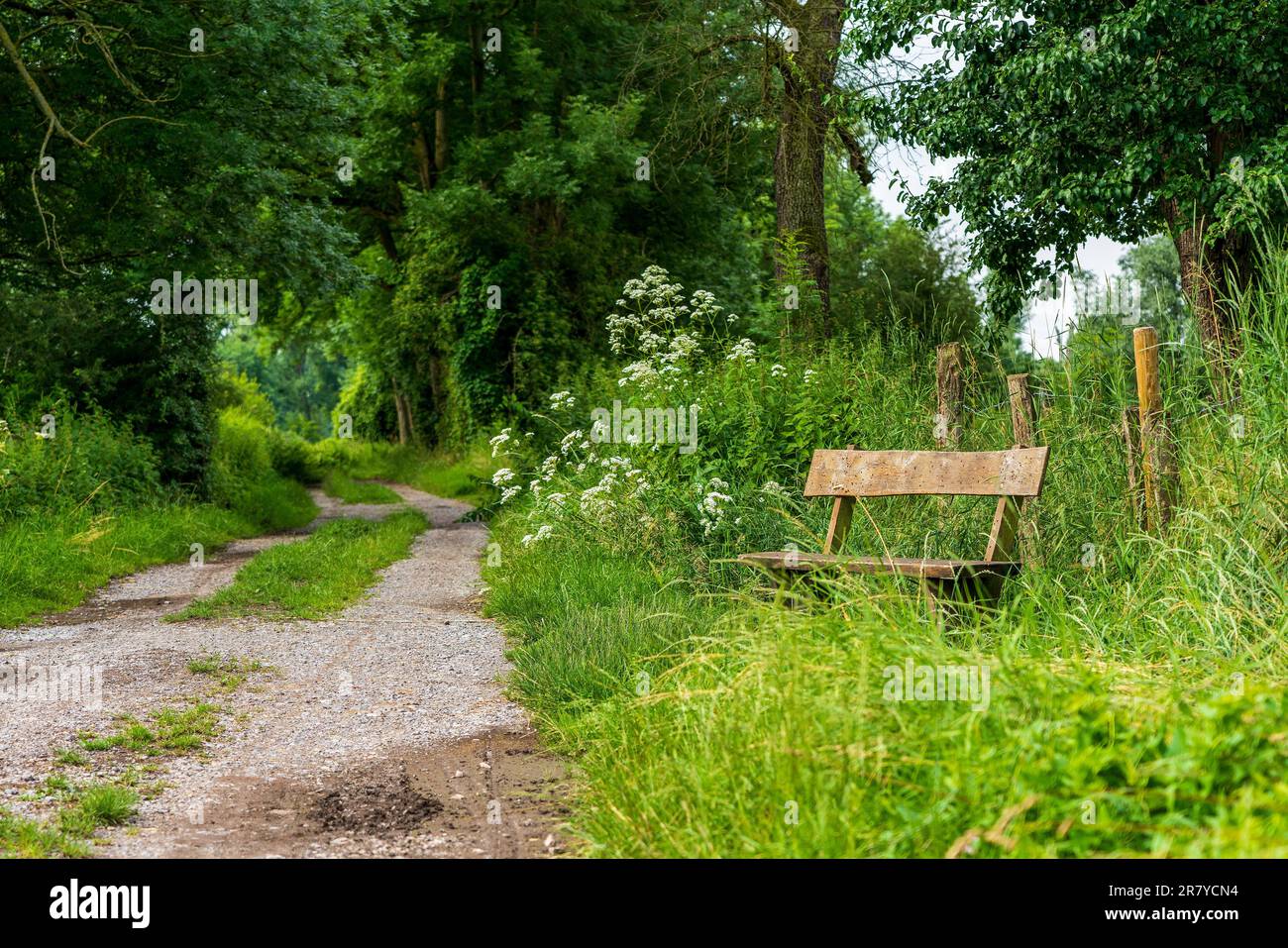 Meadow seating hi-res stock photography and images - Alamy