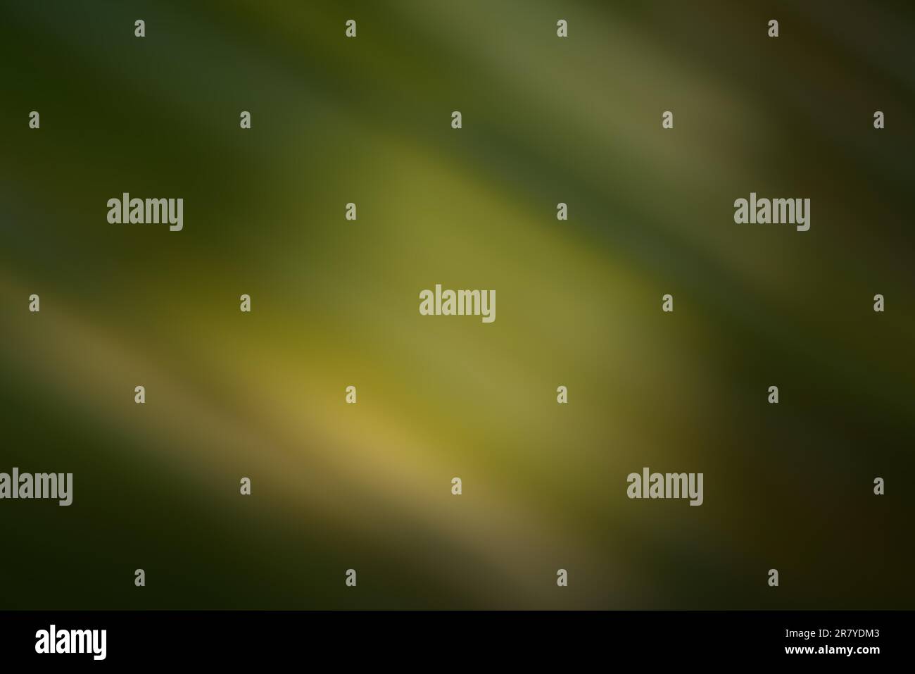 Abstract blurred background, blurred background effect Stock Photo - Alamy