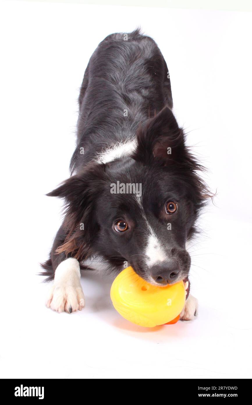 Call to play hi-res stock photography and images - Alamy