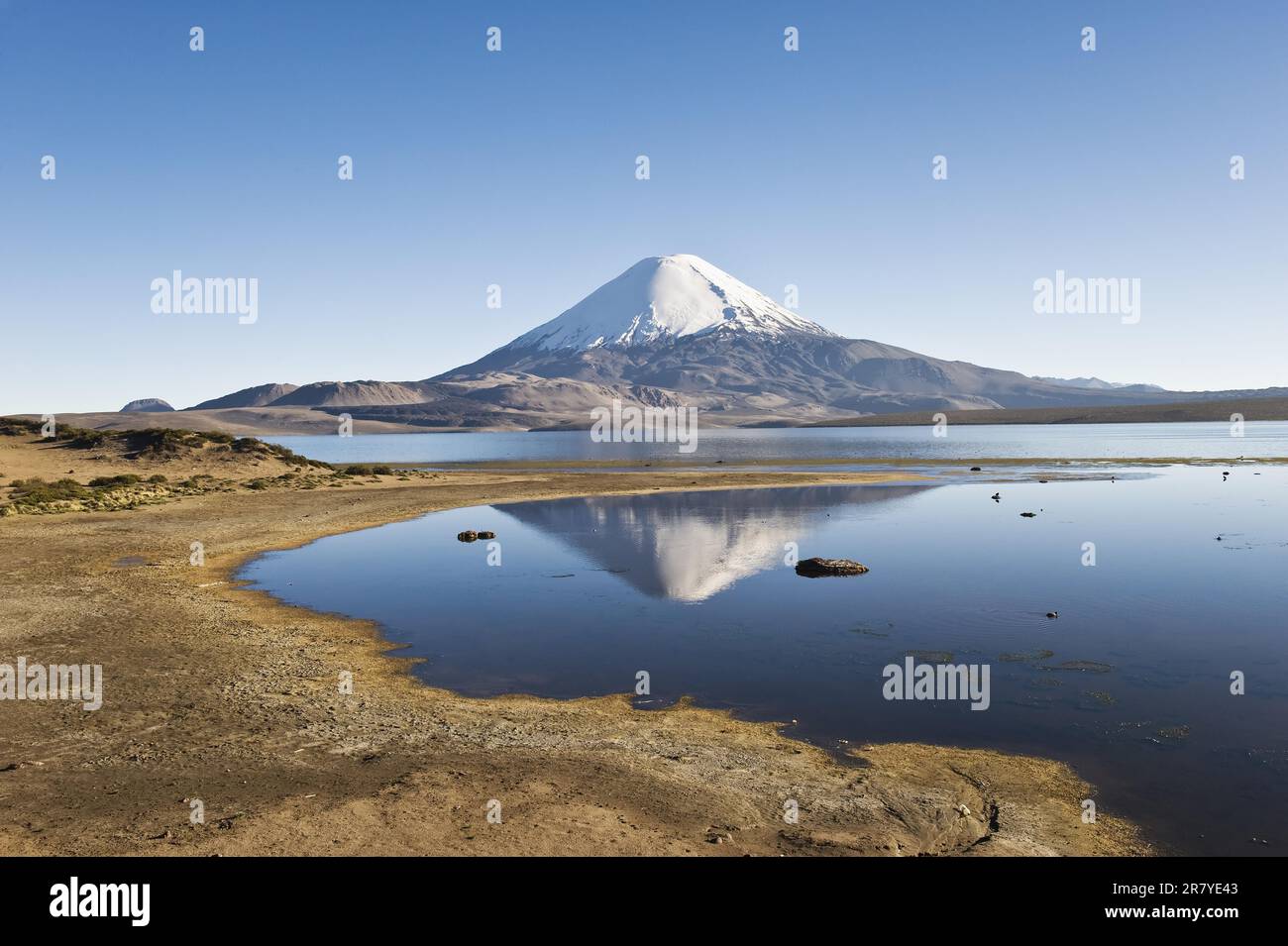 Parinacota Volcano, Lago, UNESCO Biosphere Reserve, Lake Chungara ...