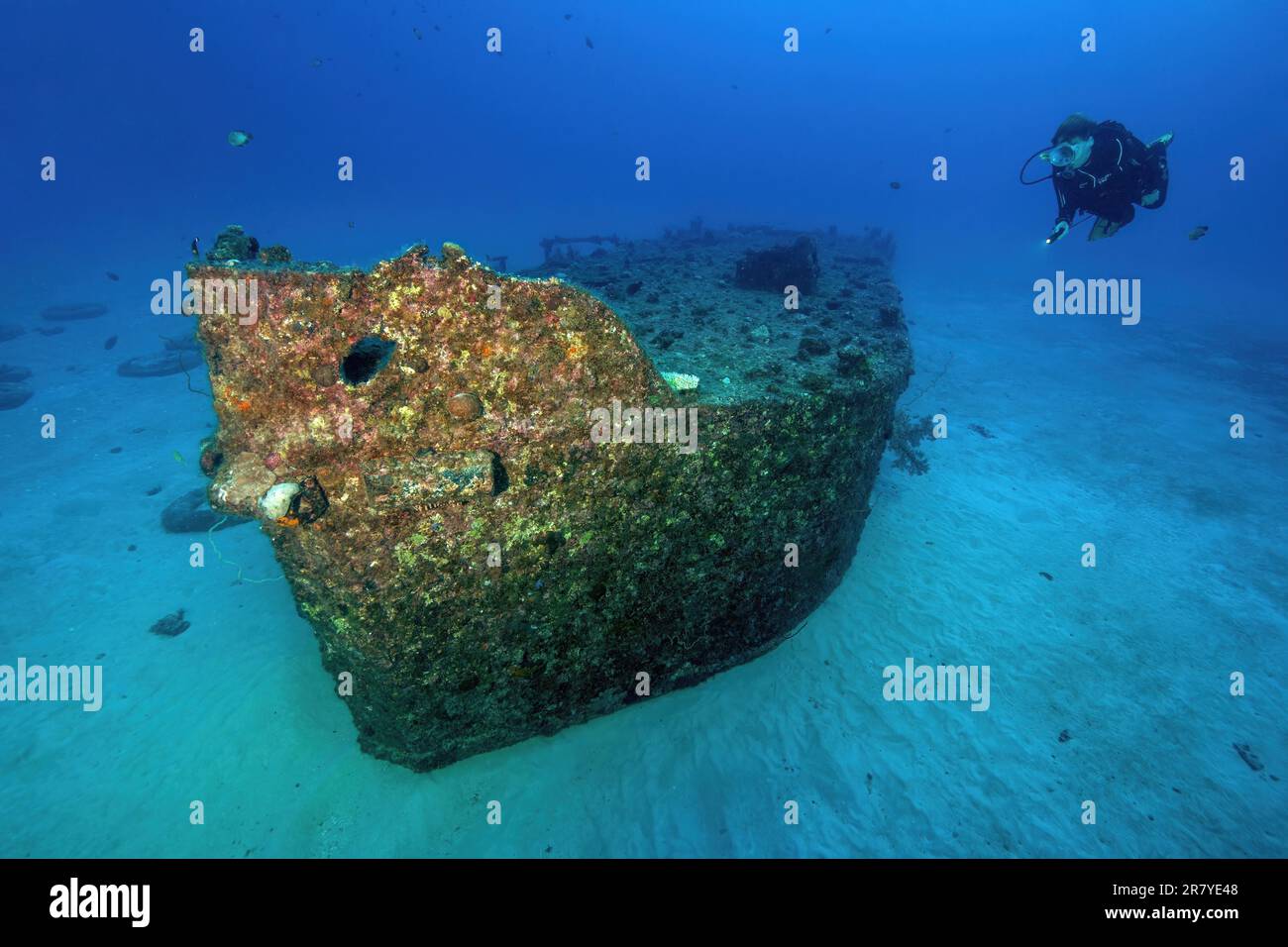 Diver looks at hull of small wreck Shipwreck Emily off the north coast ...