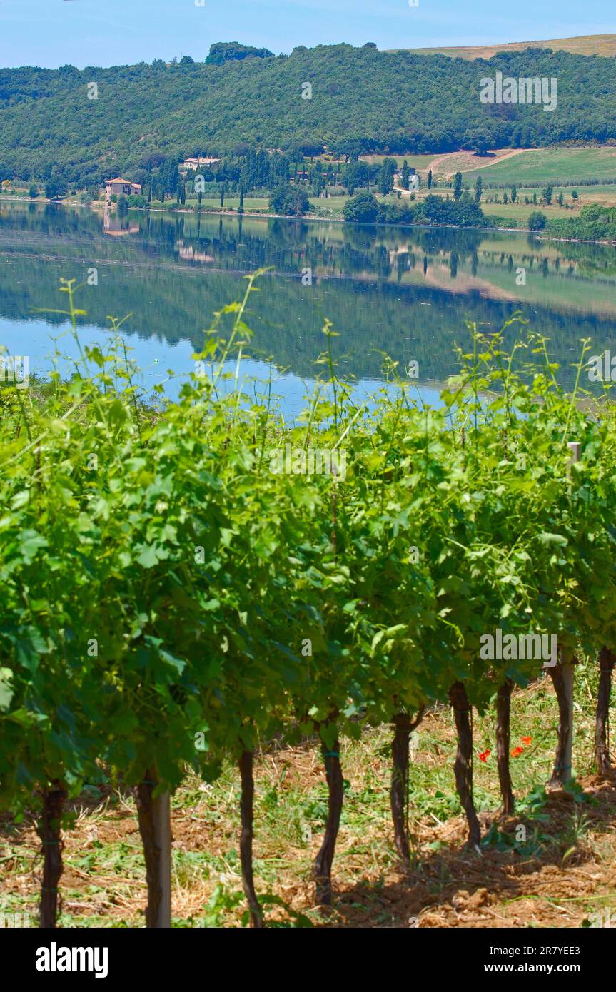 Corbara lake, Lago di Corbara, Tiber Valley, Todi, Umbria, Italy Stock ...