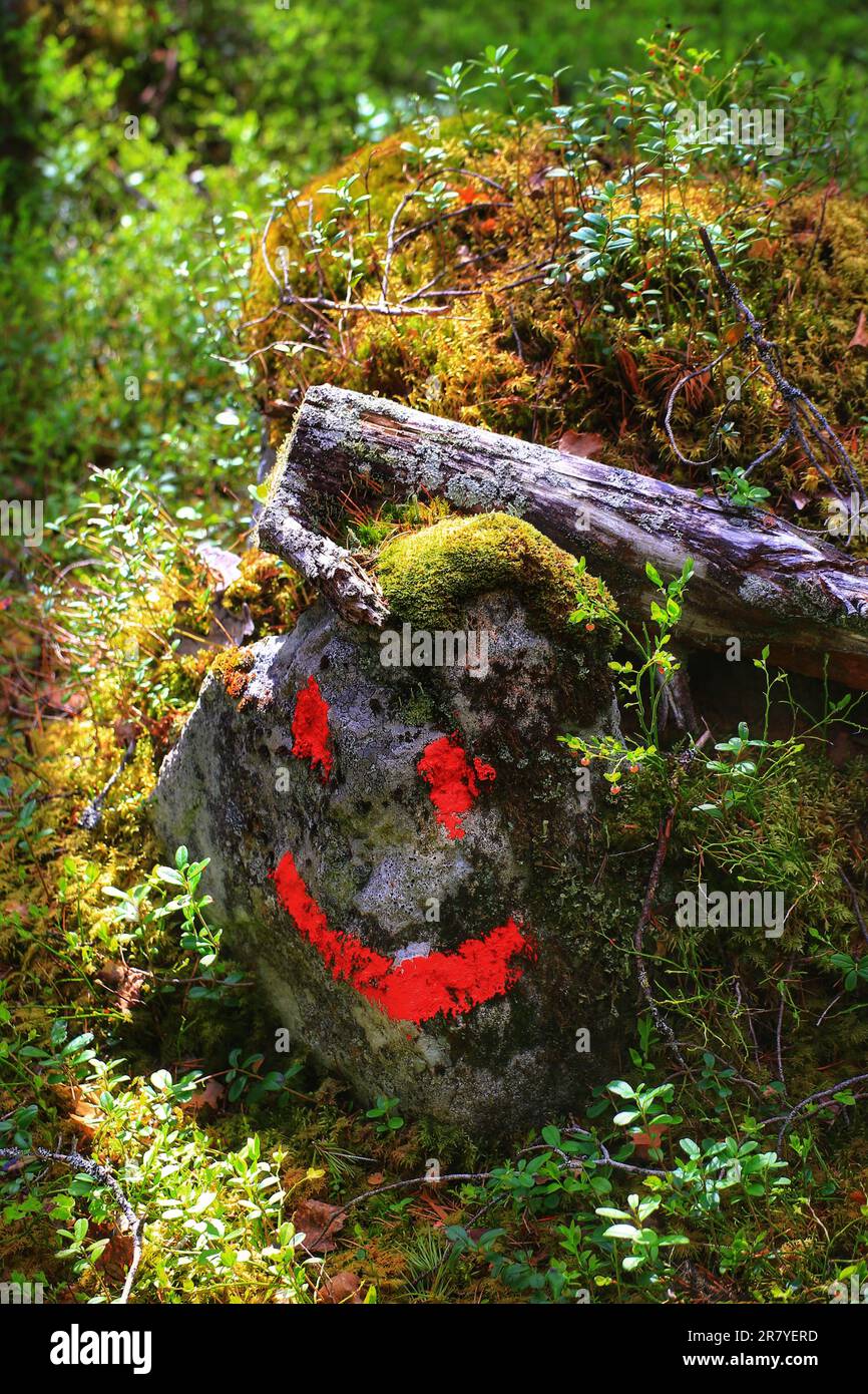 Smiley rock face hi-res stock photography and images - Alamy
