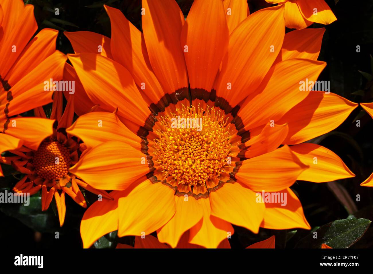 Midday illumination hi-res stock photography and images - Alamy