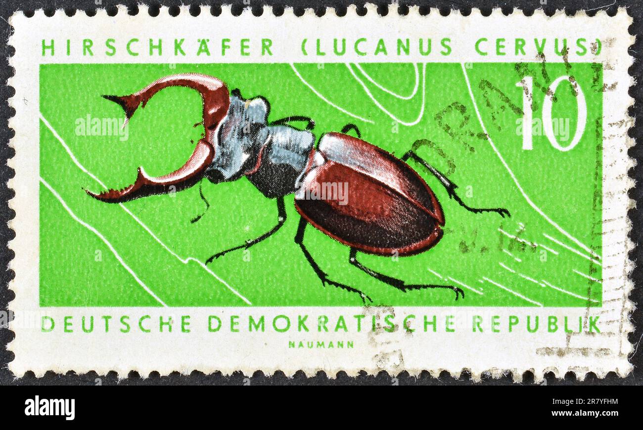 Cancelled postage stamp printed by German Democratic Republic, that ...