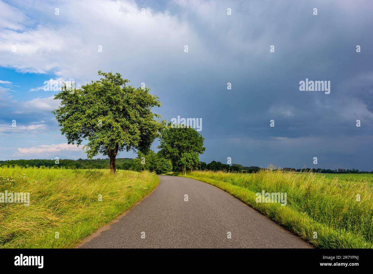 Summer landscape with fields and countryside road under clouds and blue ...