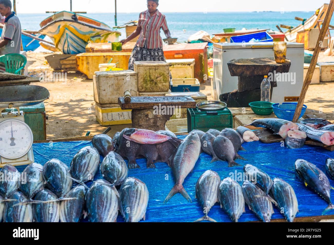 Residents, folks, locals and fishmonger on one of the many fish markets ...
