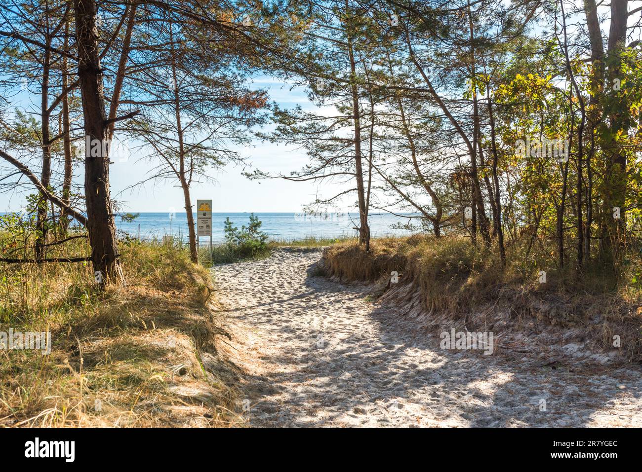 Dunes transition at the Prora beach at the seaside resort Binz on the ...