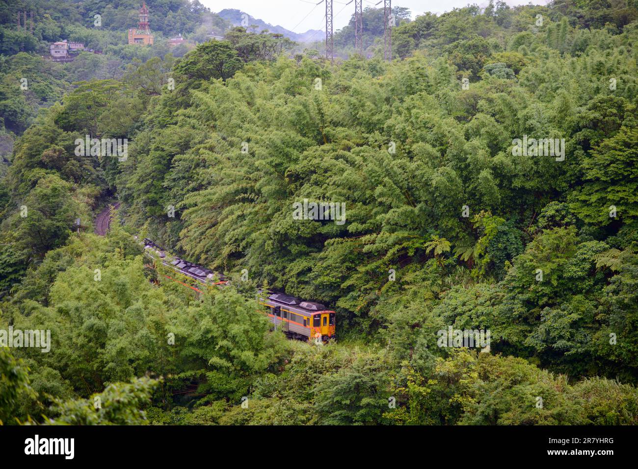 A yellow diesel train is driving in the mountains and forests. Along ...