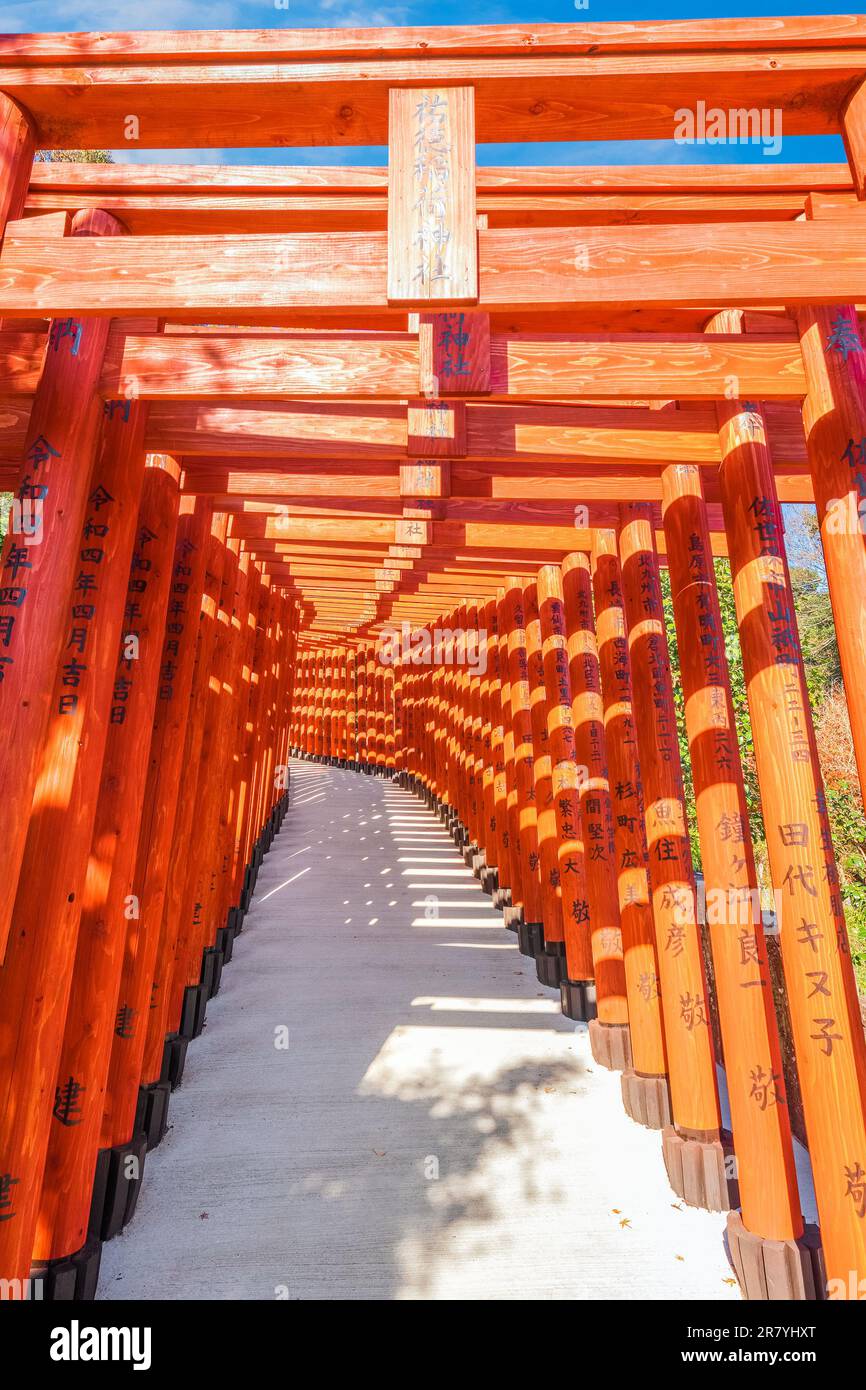 Saga, Japan - Nov 28 2022: Yutoku Inari shrine in Kashima City, Saga ...