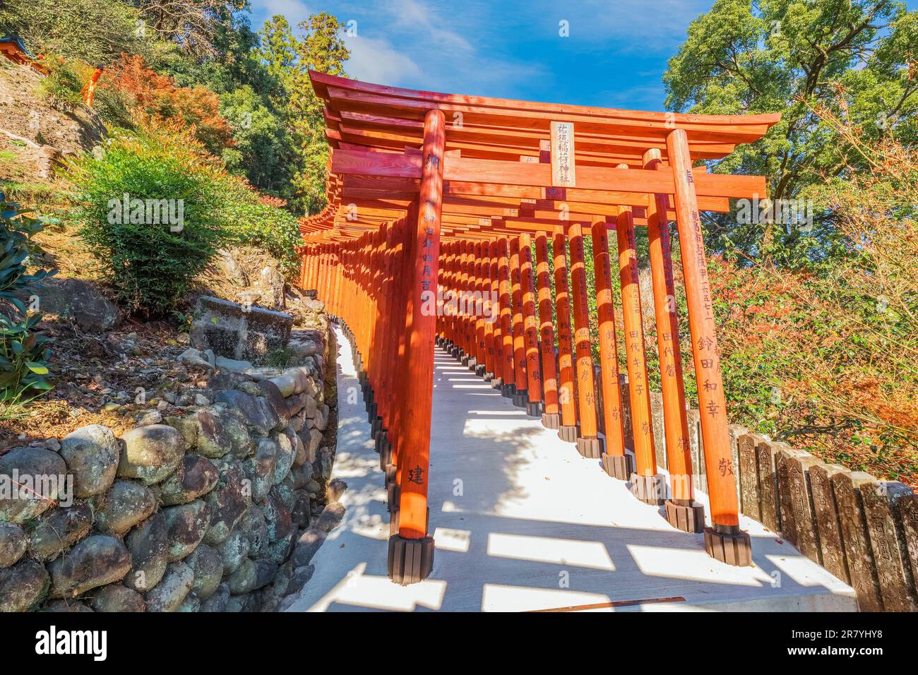 Saga, Japan - Nov 28 2022: Yutoku Inari shrine in Kashima City, Saga ...