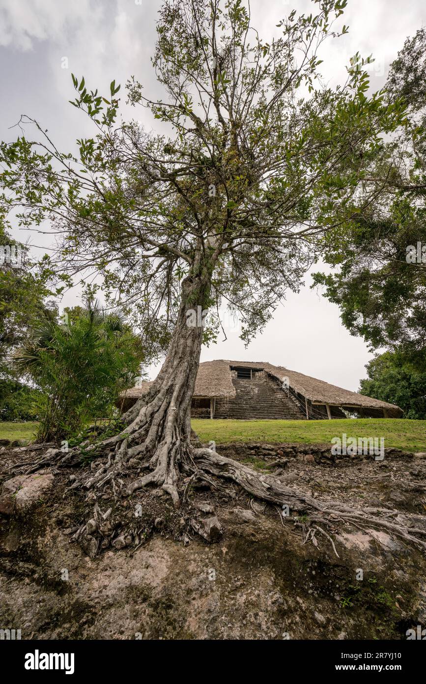 Costa Maya Mexico Stock Photo - Alamy