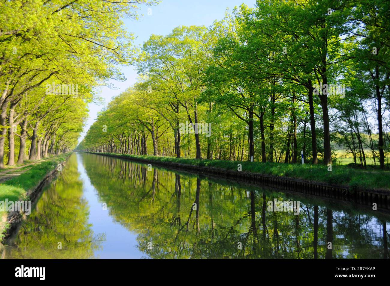 Spring flanders hi-res stock photography and images - Alamy