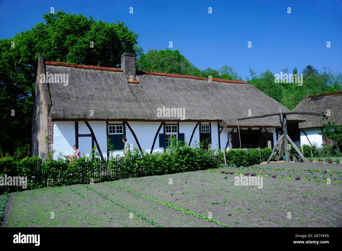 Belgium limburg countryside hi-res stock photography and images - Alamy