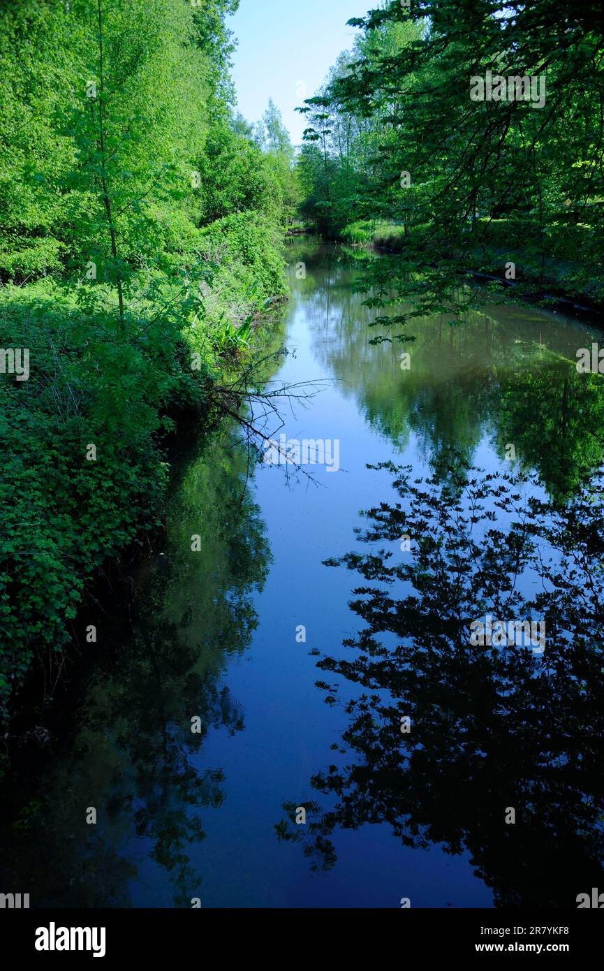 River Kleine Nete, Retie, Flanders, Belgium Stock Photo - Alamy