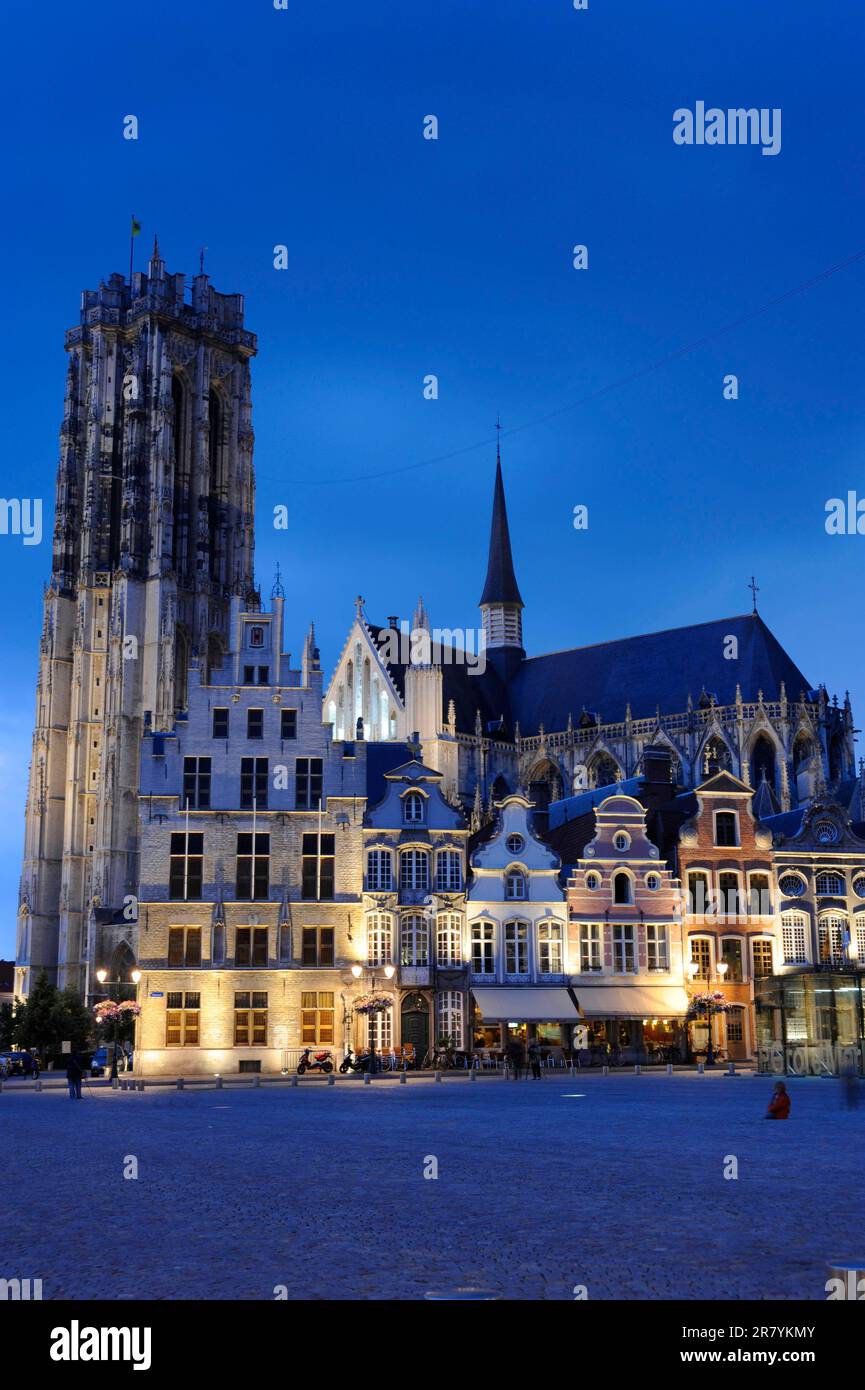 St. Rombouts Cathedral, Mechelen, Belgium, Mechelen Stock Photo - Alamy