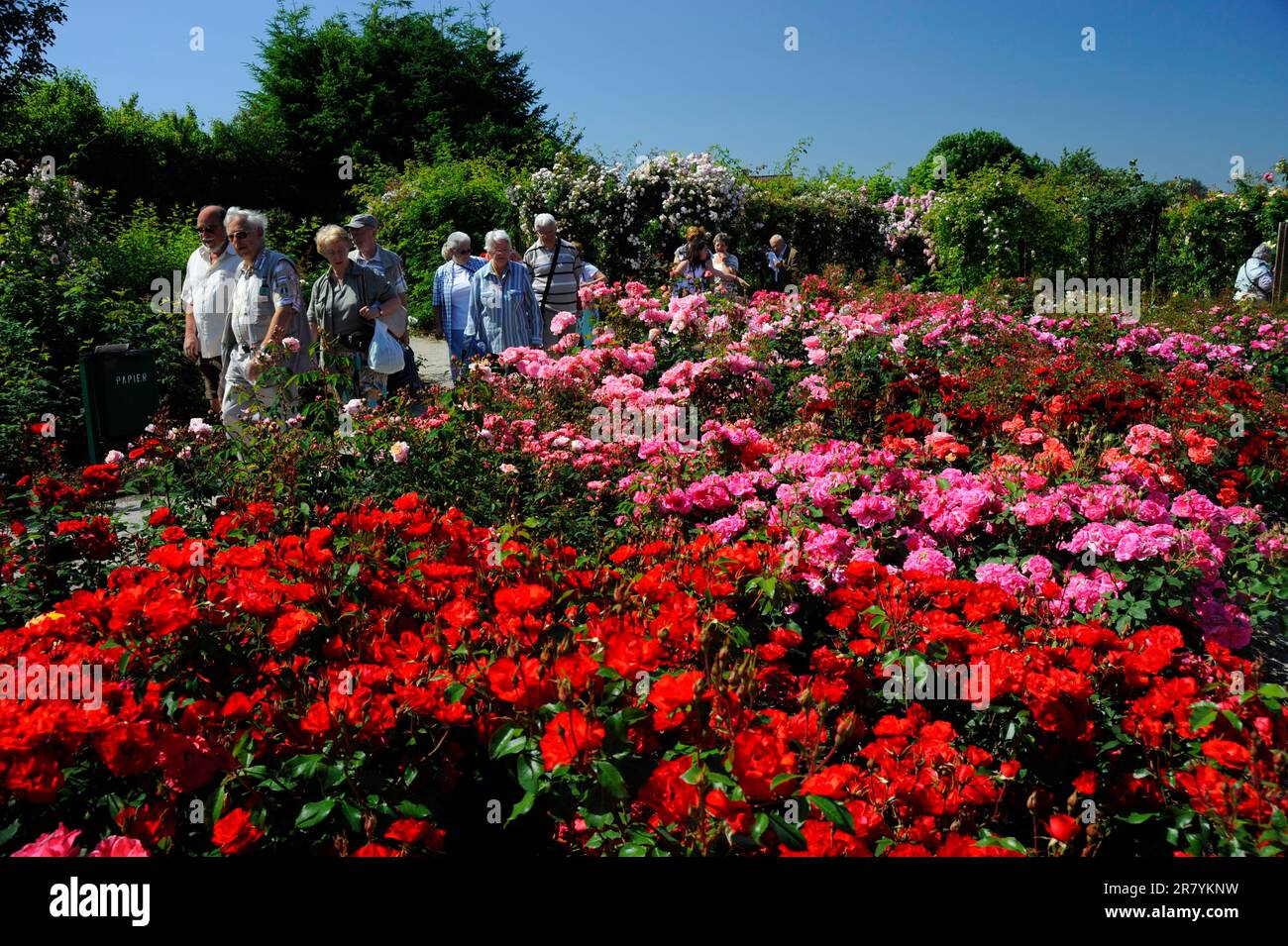 Rose Garden, Coloma Castle, Sint-Pieters-Leeuw, Flemish Brabant ...