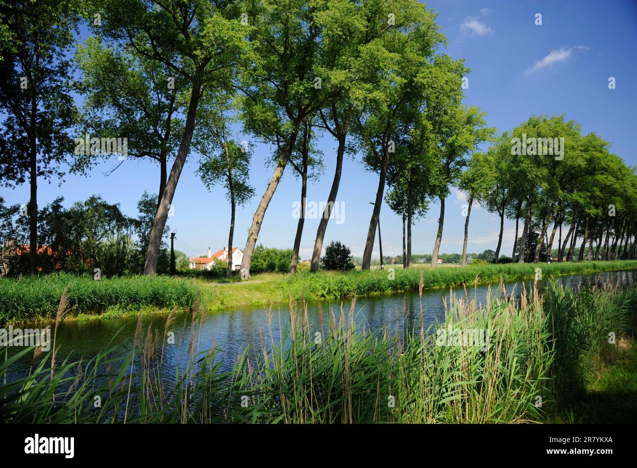 Canal, Damme, West Flanders, Belgium, Flanders Stock Photo - Alamy