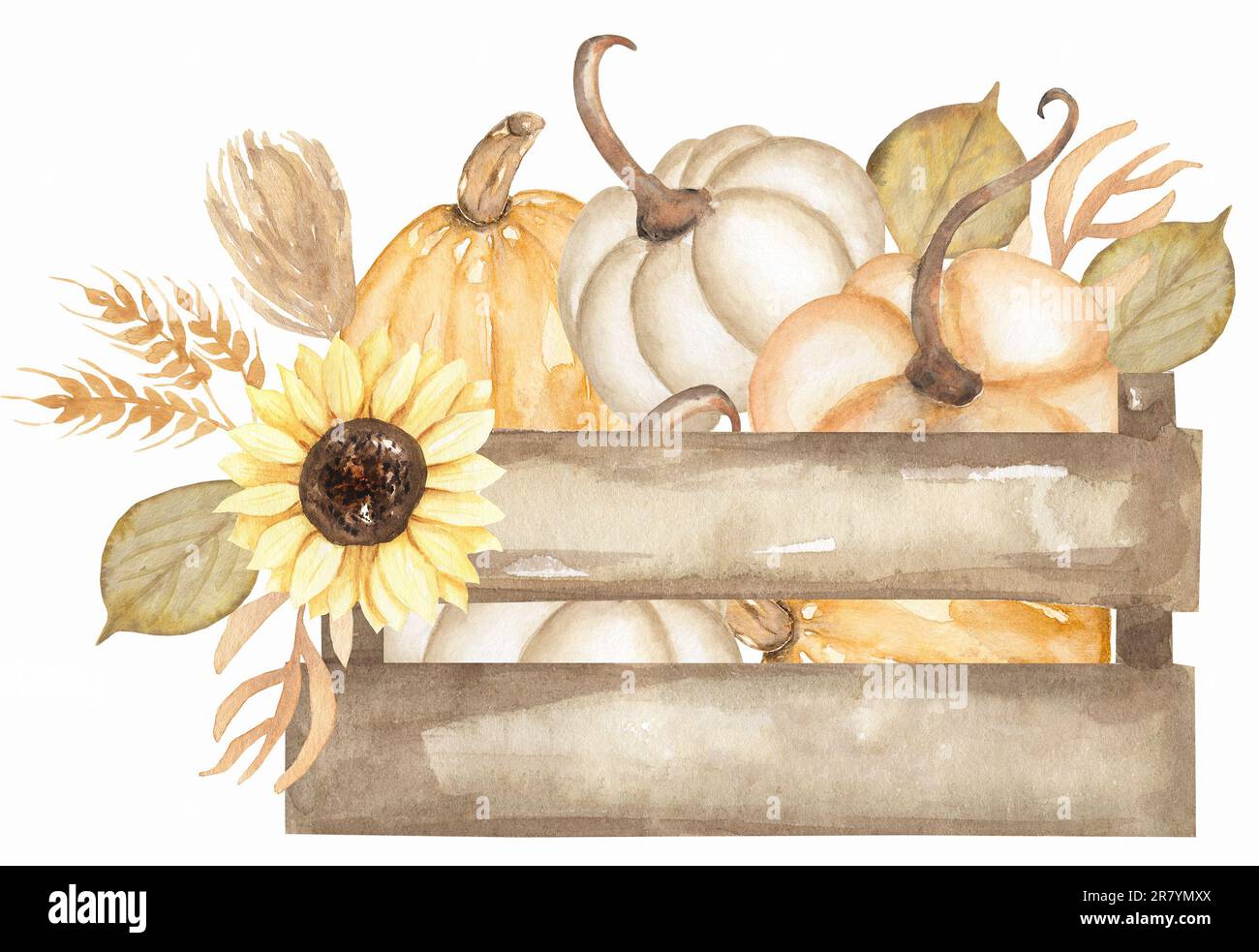 Watercolor hand drawn wooden box with pumpkins and sunflower bouquet ...