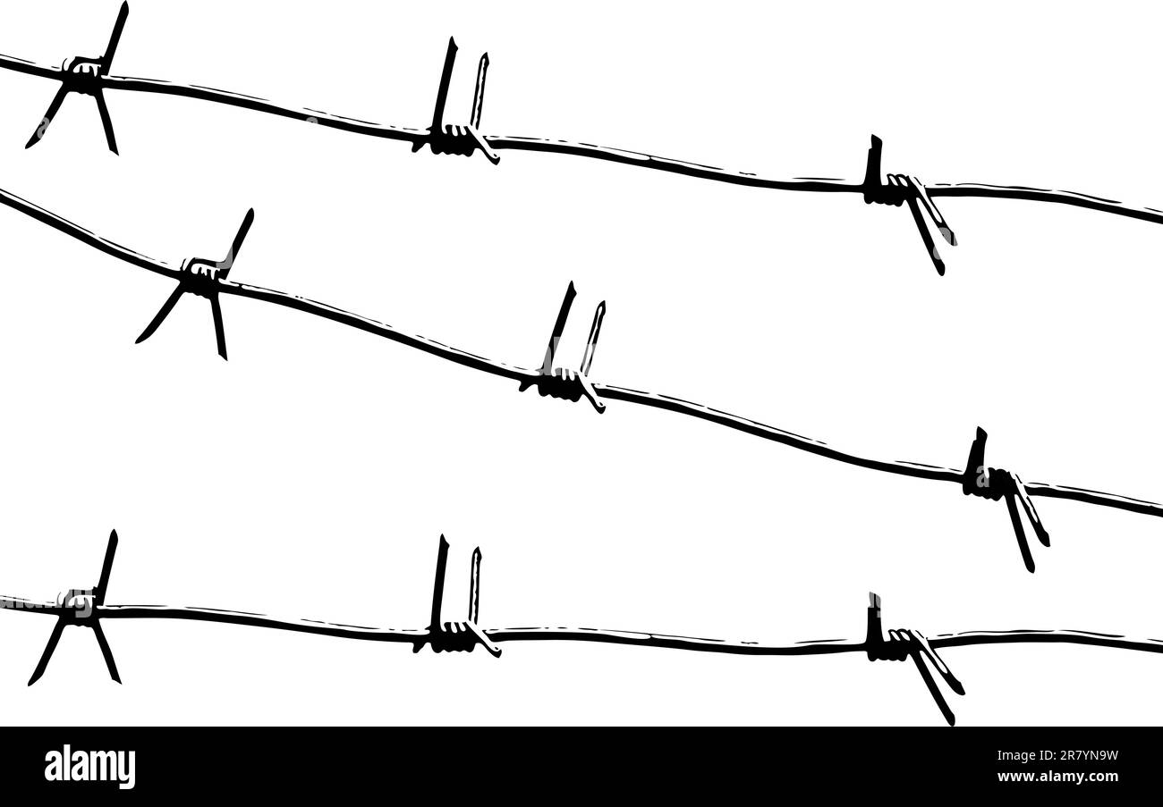 Barbed wire. Black and white pattern vector Stock Vector Image & Art ...