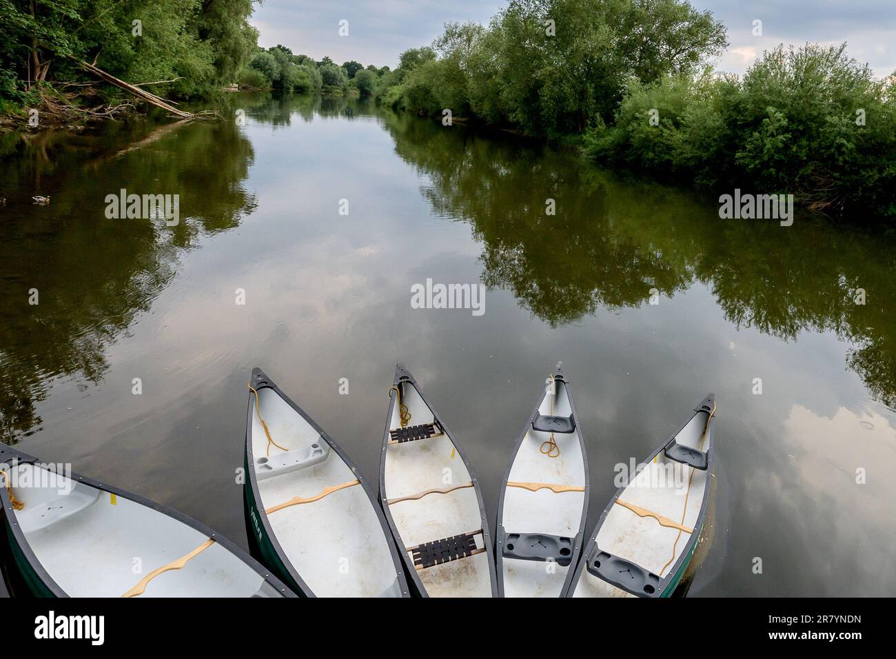 canoes at rest on the river Stock Photo - Alamy
