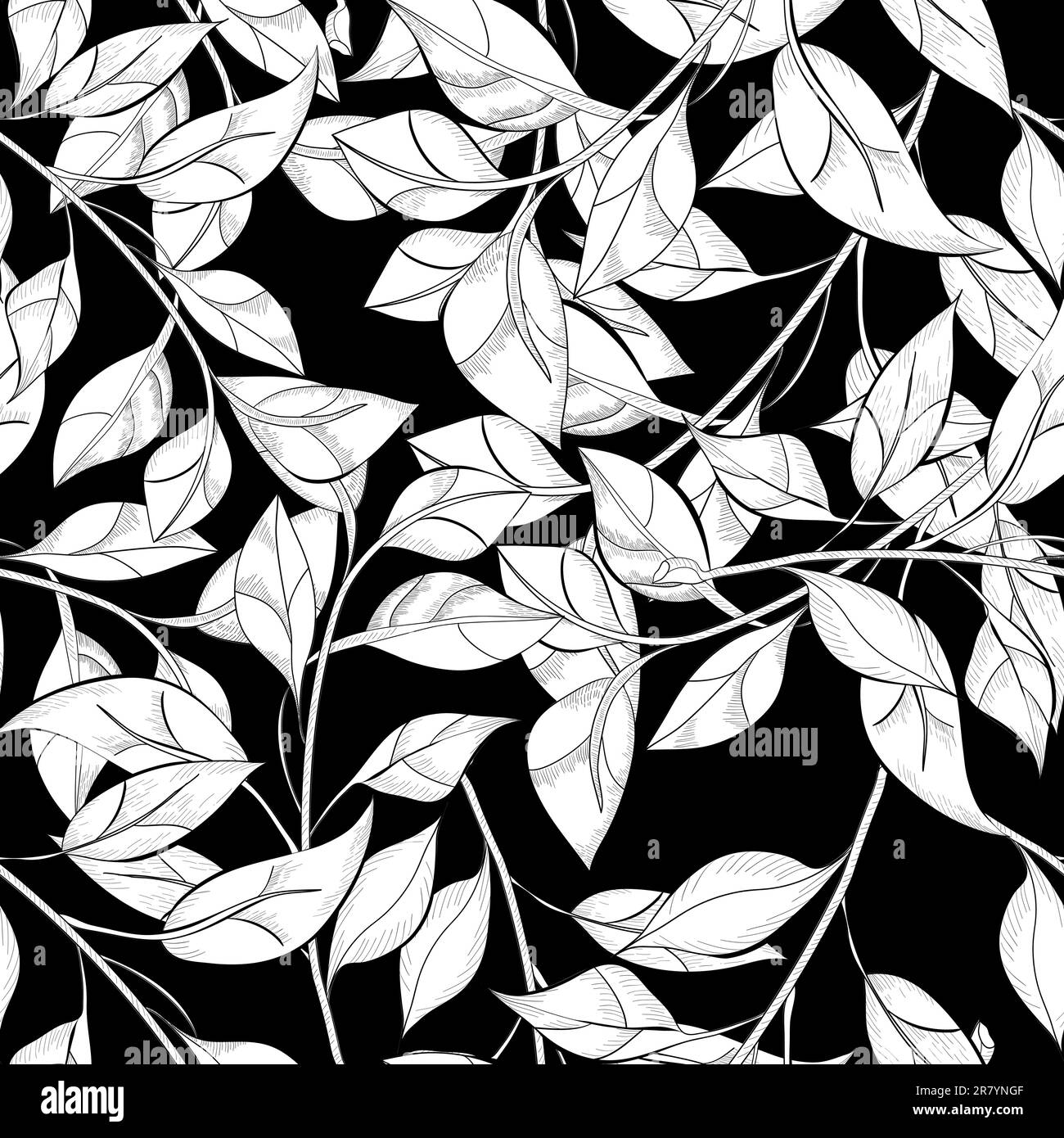 Black and white seamless pattern Stock Vector Image & Art - Alamy