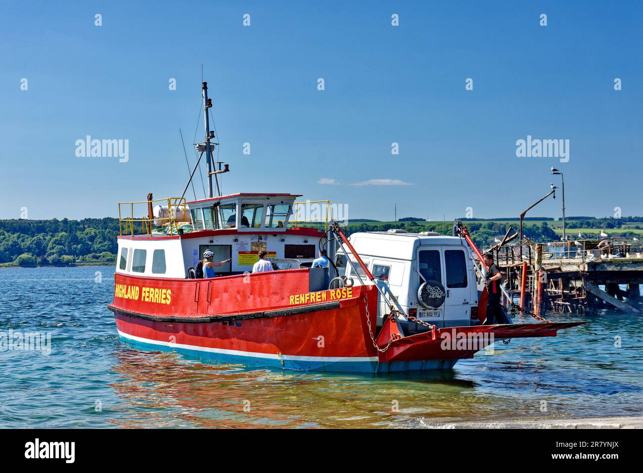 Nigg Scotland Nigg - Cromarty Ferry the red Renfrew Rose in early ...