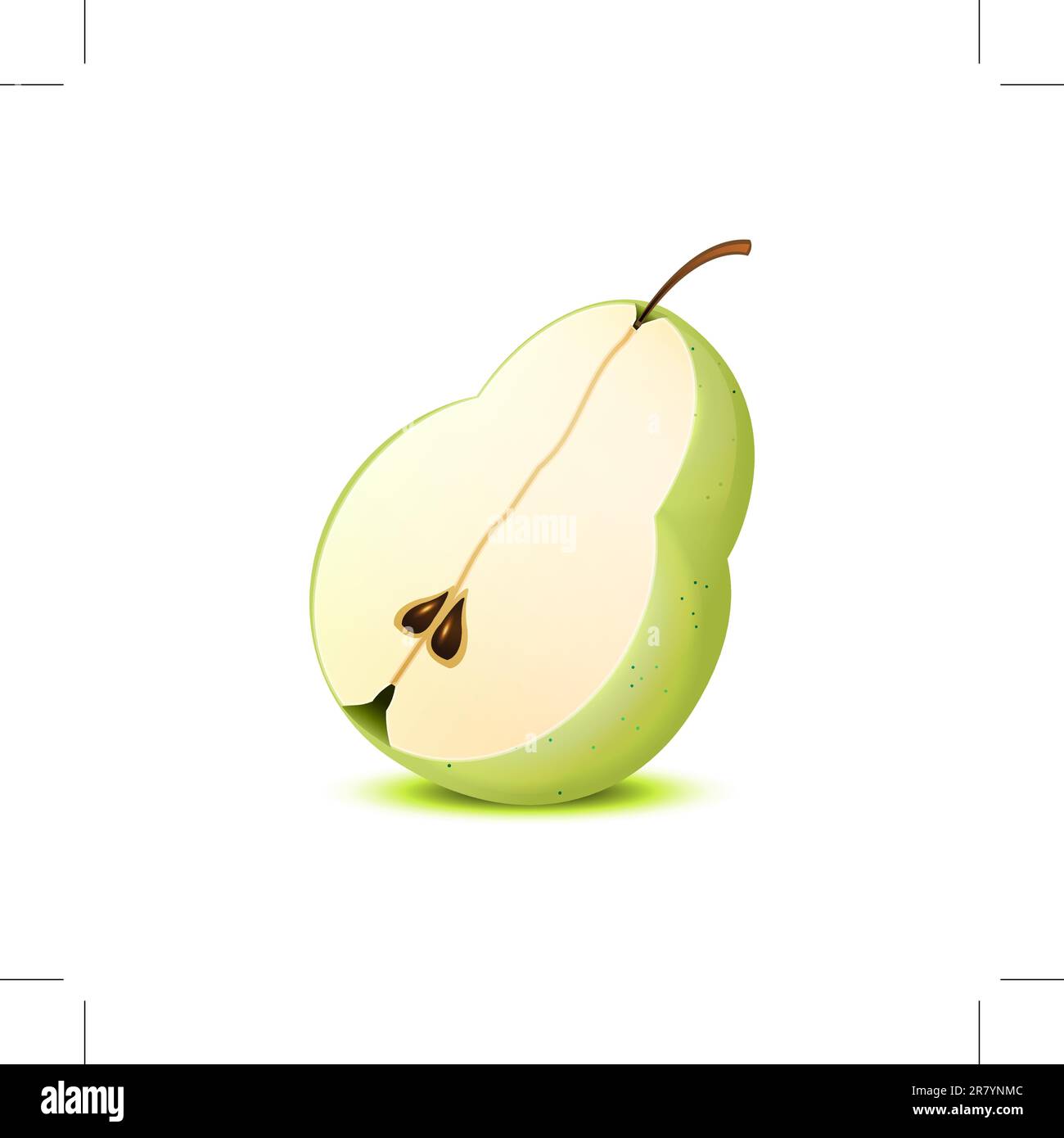 Isolated realistic half of the pear on white, vector illustration ...