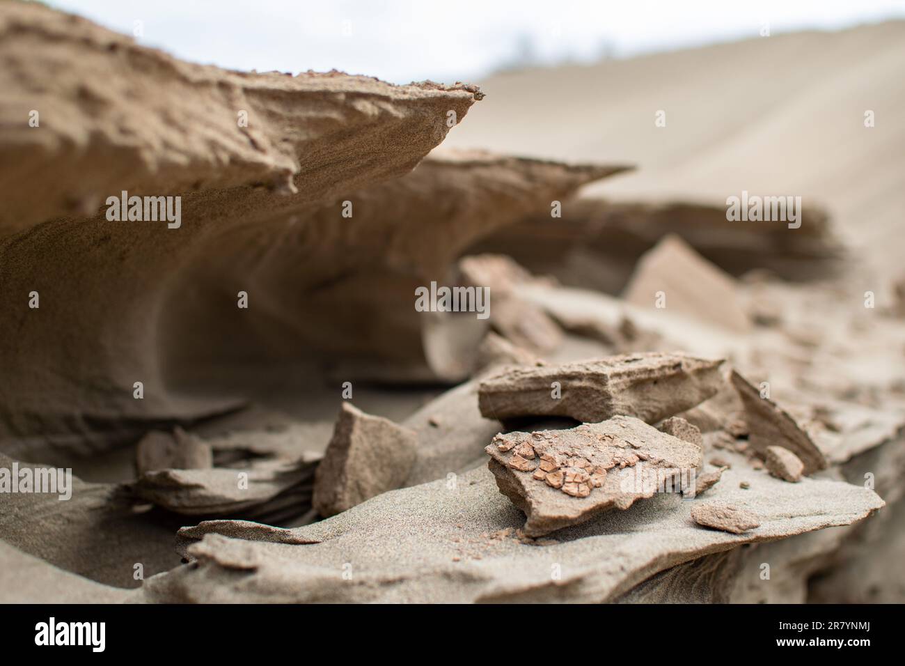 a close up macro bokeh image of mini sand dune formation at a Spanish ...