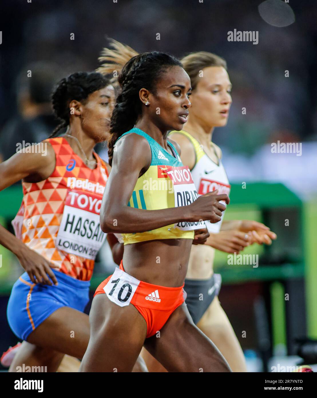 Genzebe Dibaba participating in the 1500m final at the World Athletics ...